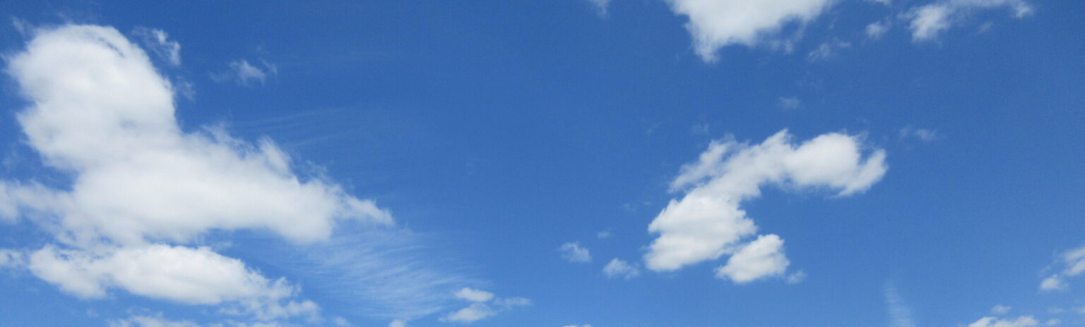 Meet our Team – Apex Realty Advisory